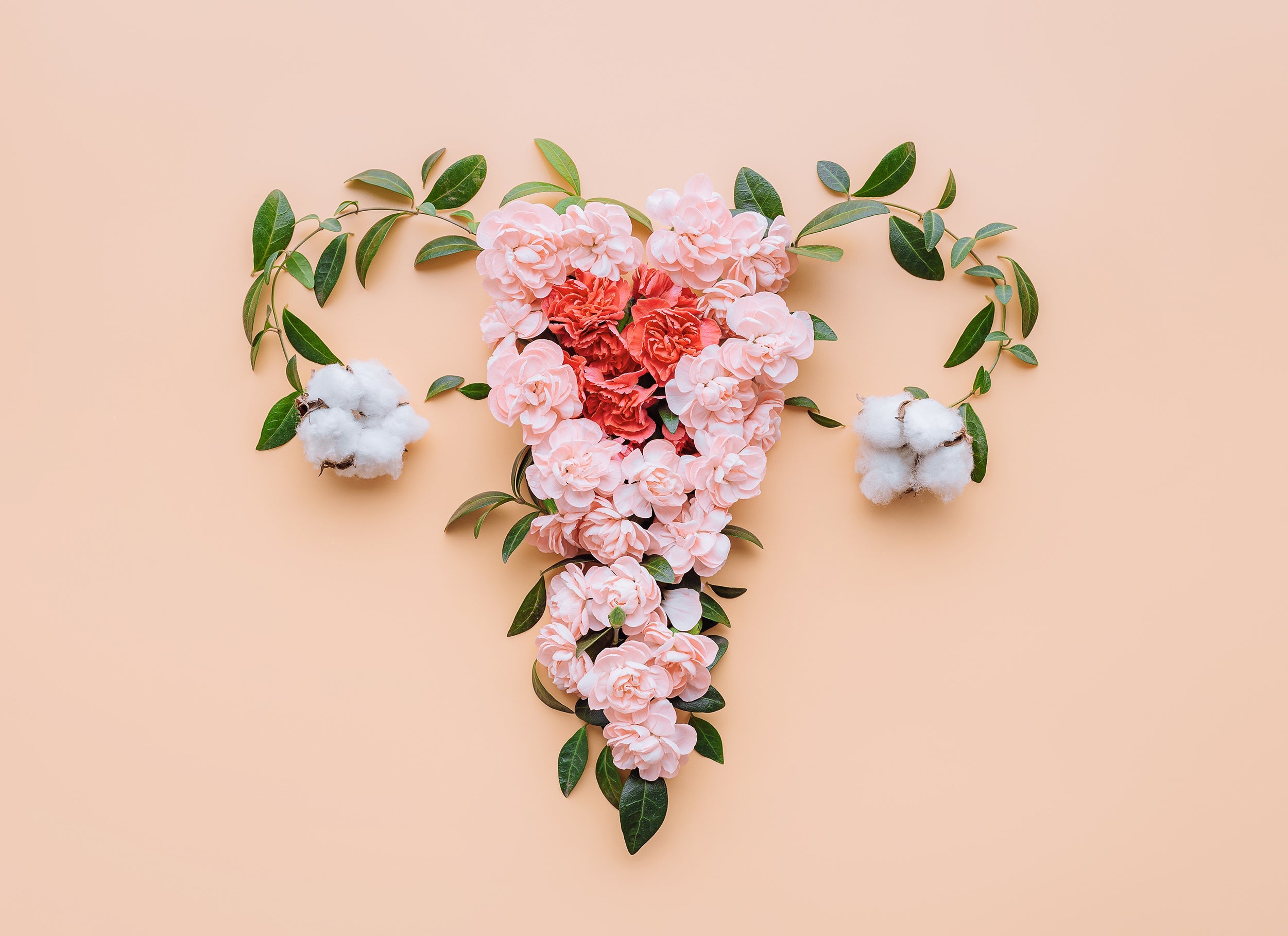 A Guide for Healthy Ovaries | Quality of Life