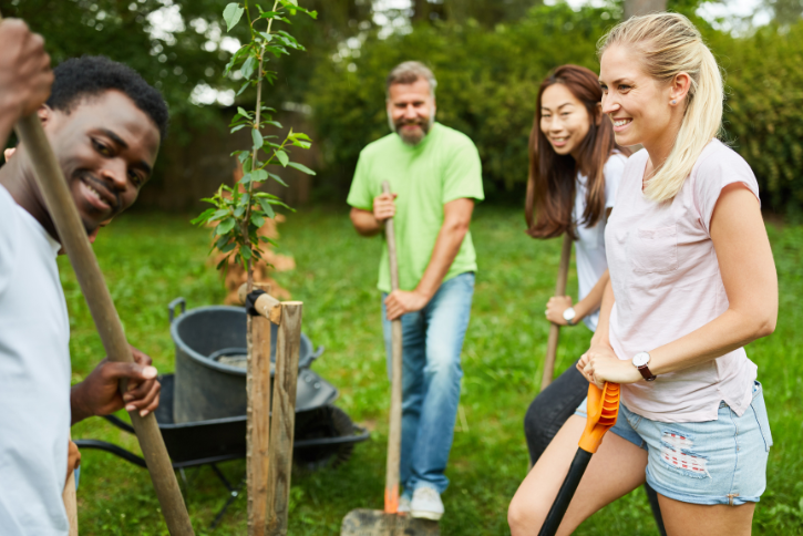 The Benefits of Tree Planting and How to Do It | Quality of Life